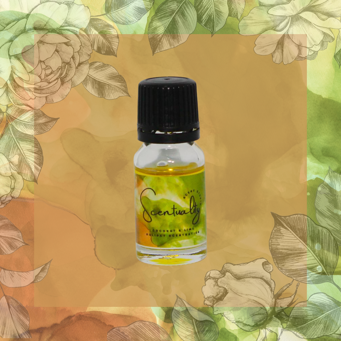 Coconut & Lime | Fragrance Oil – Scentuality Studio